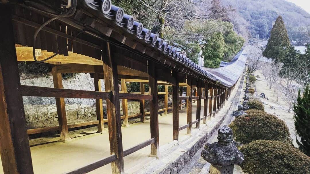 スーツさんのインスタグラム - (スーツ@suit_ryoko_channel)