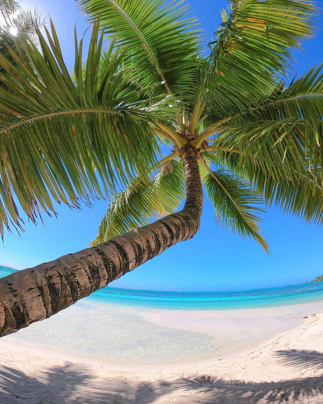 COCOさんのインスタグラム - (COCO@cocomermaid808)