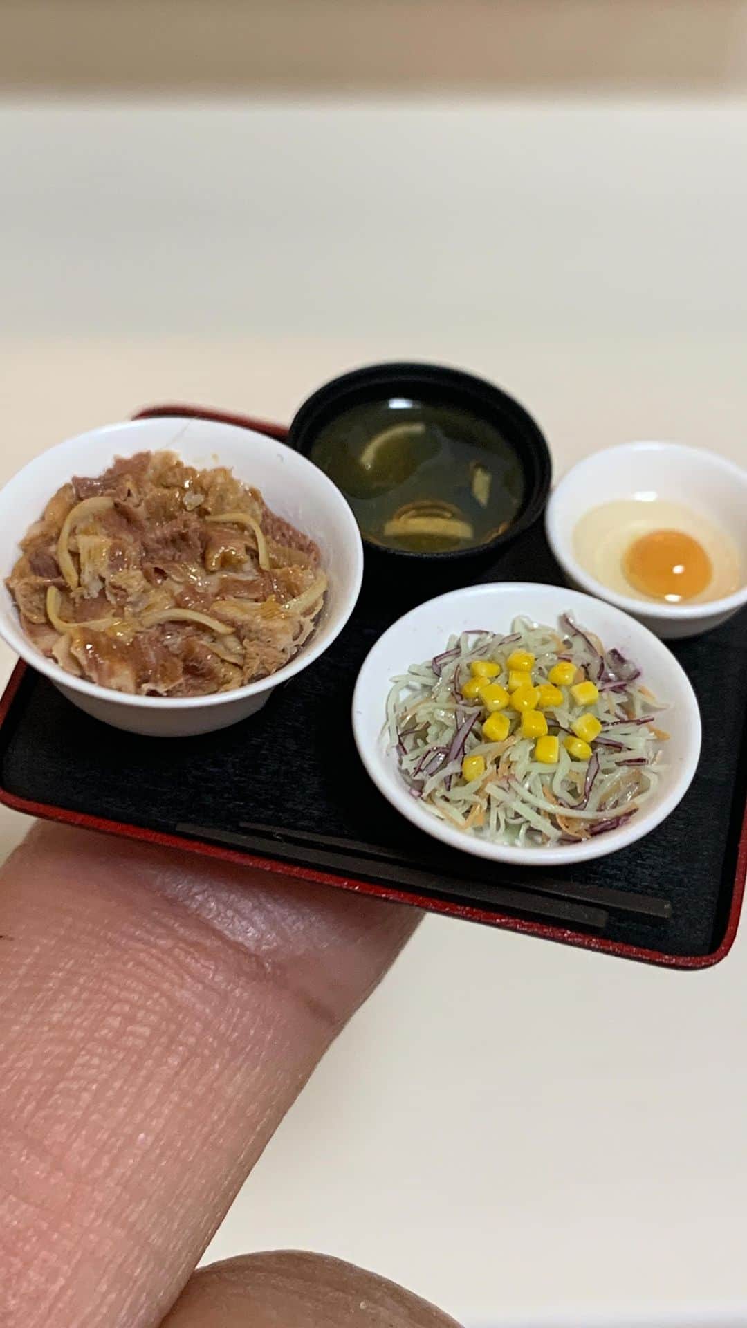 Mozuさんのインスタグラム動画 - (MozuInstagram)「憧れのミニチュア作家、田中智さんに「本物にしか見えないミニチュア牛丼」をプレゼントしていただきました！これ手作りの ...