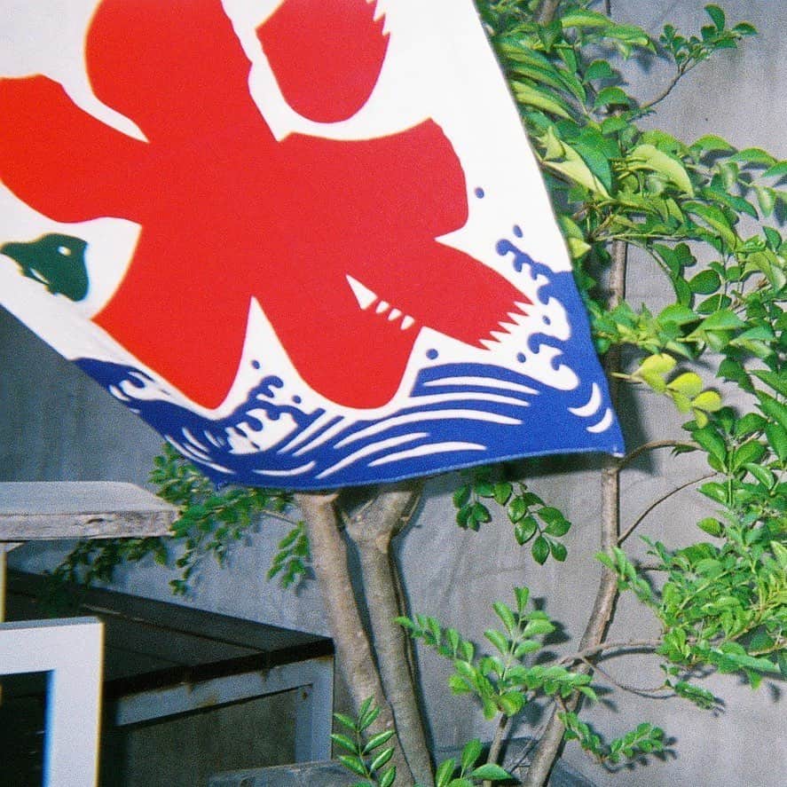 寺本莉緒さんのインスタグラム写真 - (寺本莉緒Instagram)「夏も終わりそうだねぇ😭」8月29日 8時43分 - lespros_rio