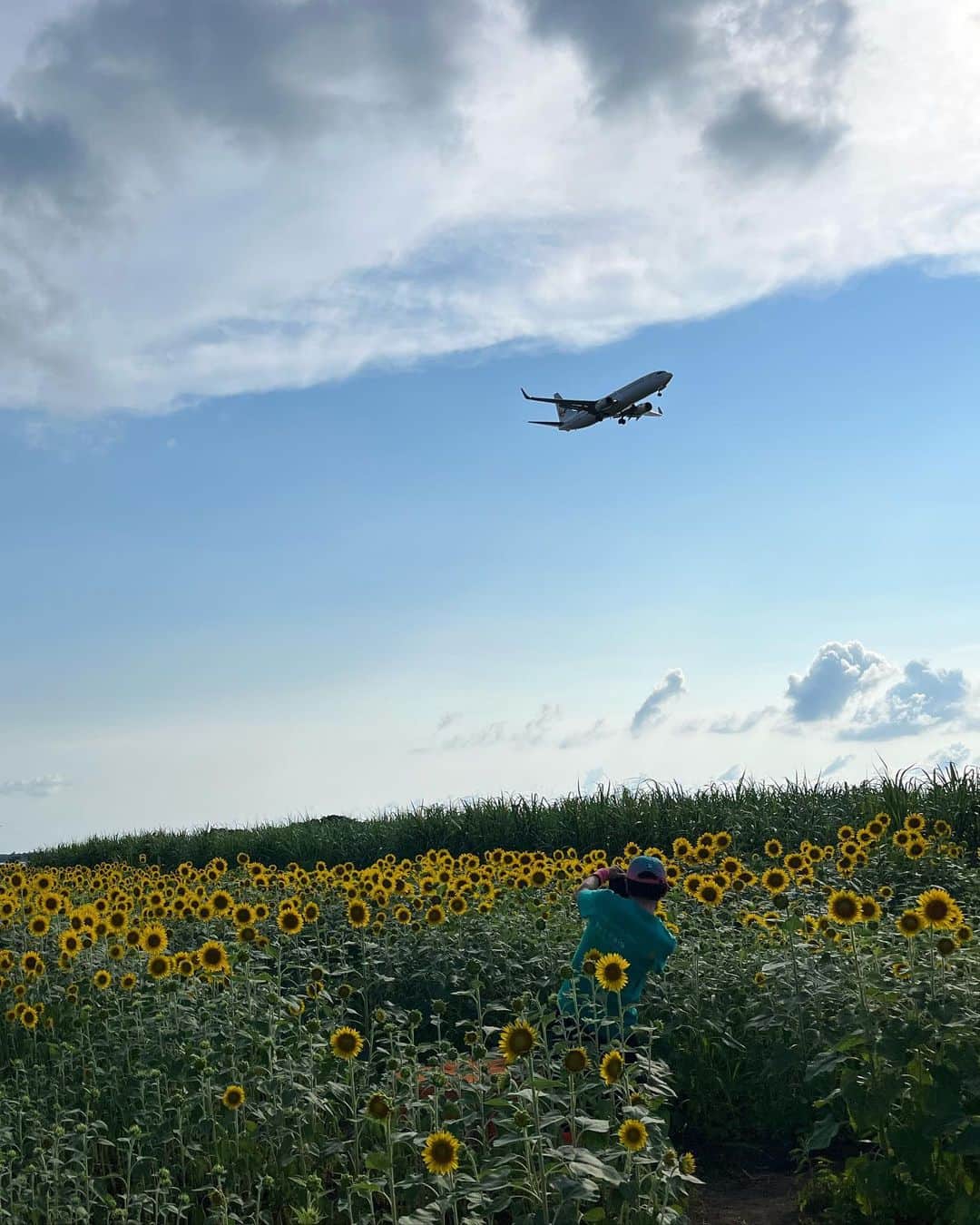 乙黒圭祐さんのインスタグラム - (乙黒圭祐@otosuke_16)