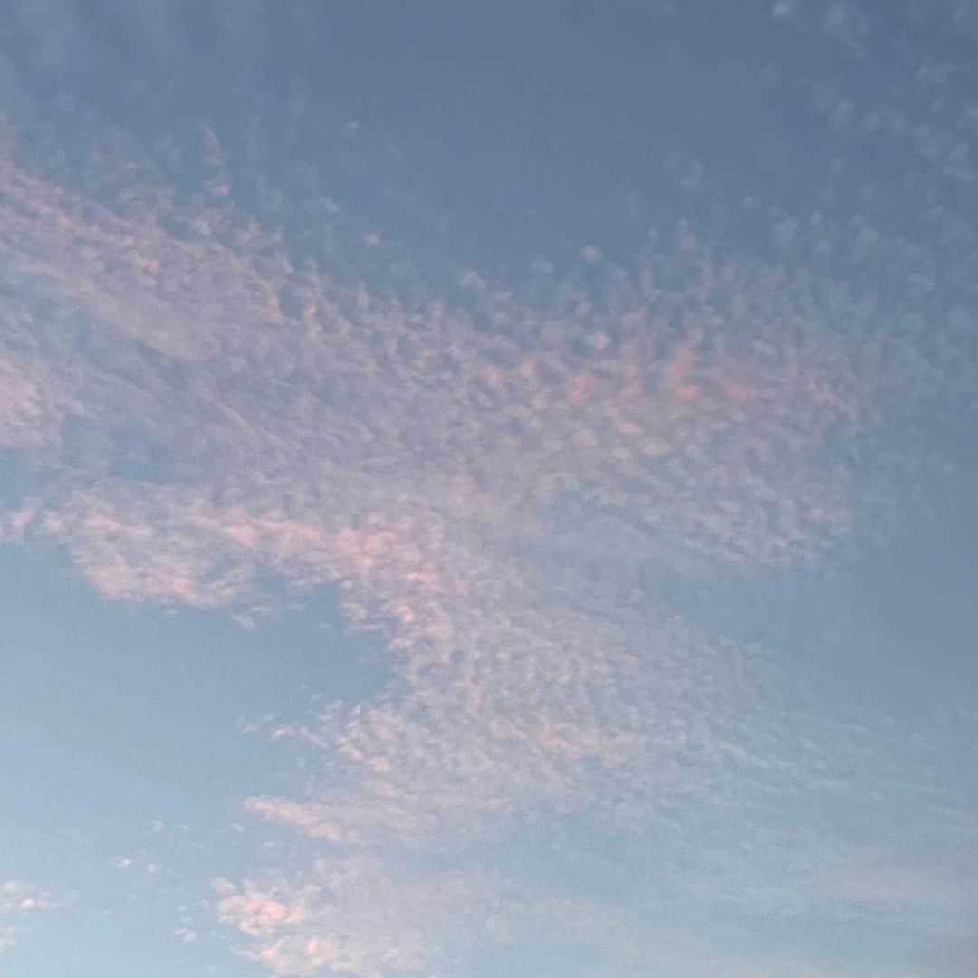 寺本莉緒さんのインスタグラム写真 - (寺本莉緒Instagram)「🖼 . . . All I want to see is what is ...