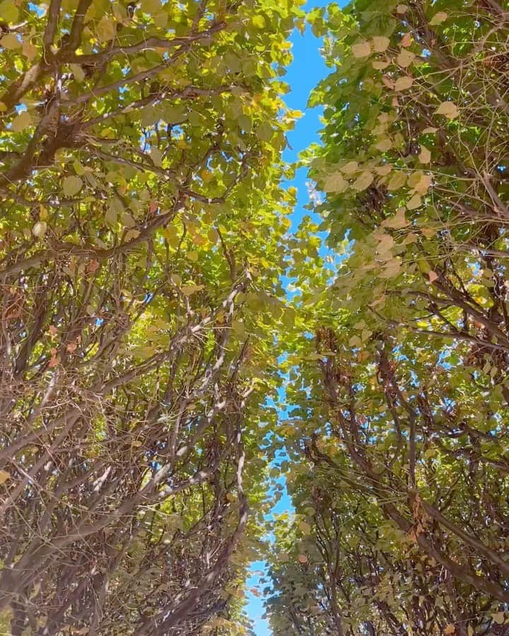 kokiさんのインスタグラム写真 - (kokiInstagram)「Memories of Paris with @louisvuitton」10月8日 3時50分 - koki