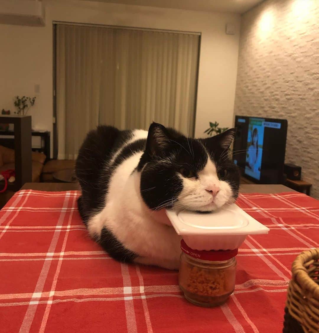 ram?rickさんのインスタグラム - (ram?rick@asanoram)