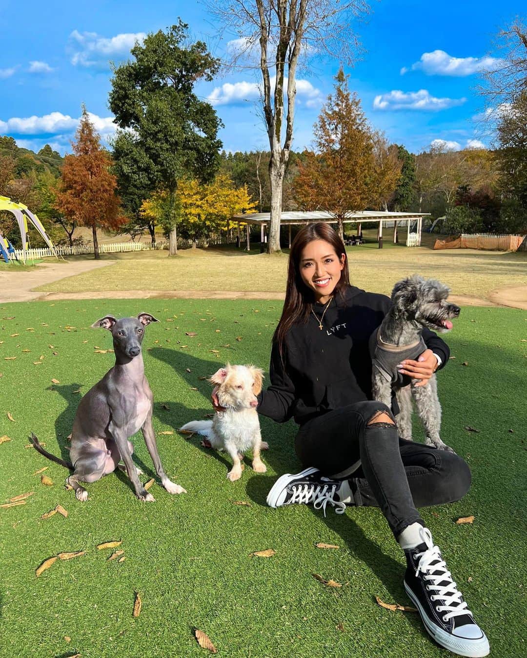 Azusaさんのインスタグラム写真 - (AzusaInstagram)「愛犬たちに癒される休日🥰 犬友達のみんなもいつも私の競技を応援して ...