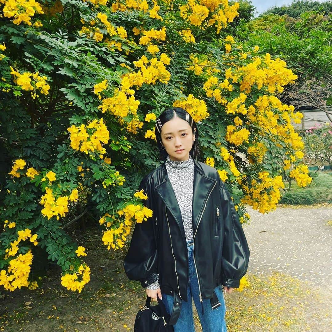 安達祐実さんのインスタグラム写真 安達祐実instagram 「💛💛💛 咲き乱れる感じのお花が好き。」11月23日 12時34分