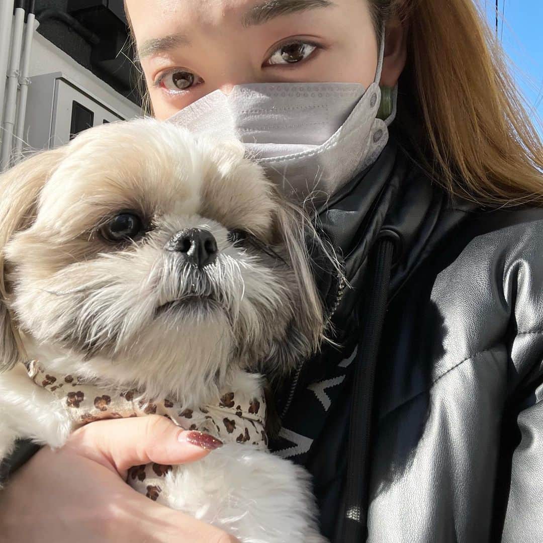 圭叶（KEYKA）さんのインスタグラム写真 - (圭叶（KEYKA）Instagram)「🐶2023💛 _____________ 2023年私の相棒との初のツーショ 🏻 やっぱりどうしても ...