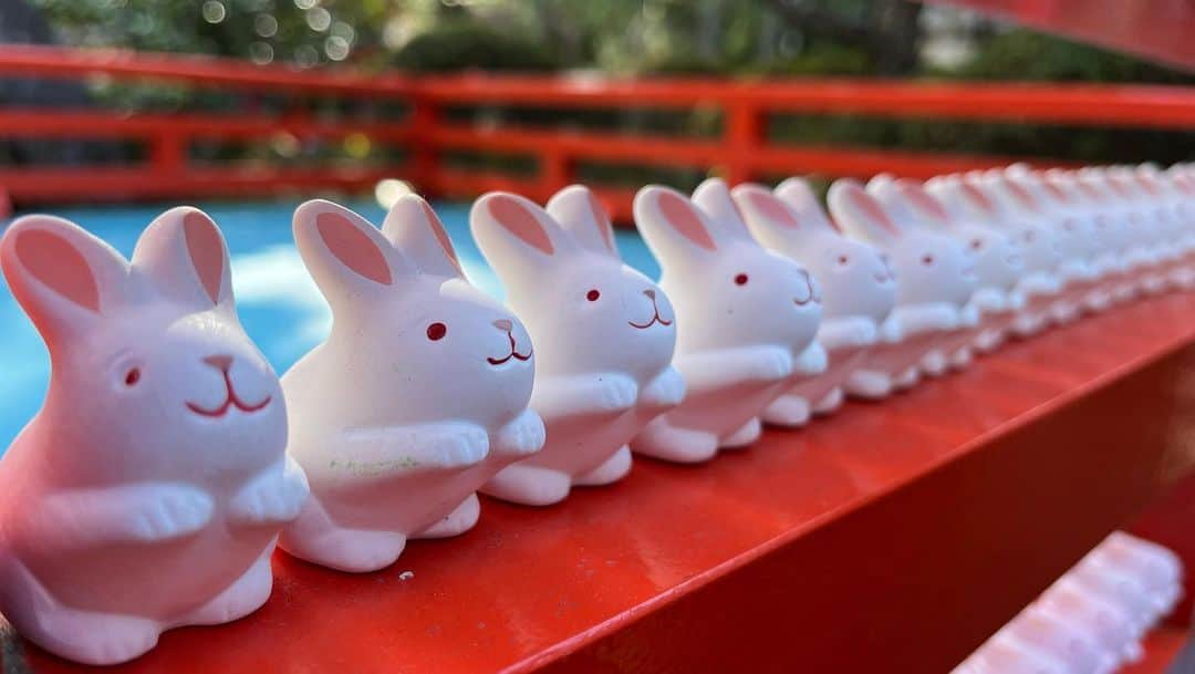 フジテレビ「もしもツアーズ」さんのインスタグラム写真 - (フジテレビ「もしもツアーズ」Instagram)「もしツア3時間SP‼️ ご覧いただき ありがとうございました😊 TVer・FOD ...