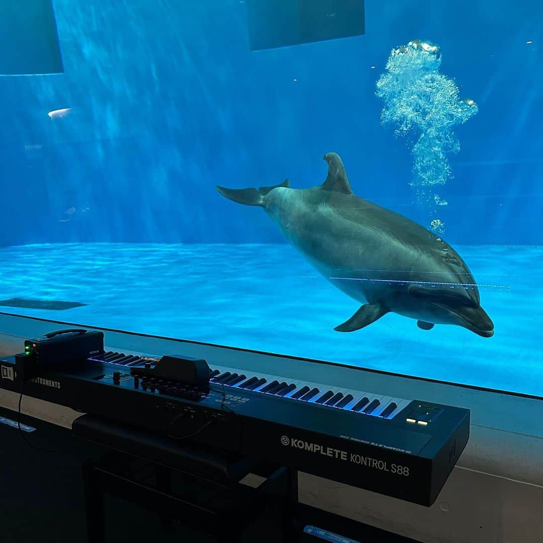 mikerr（ミカ）さんのインスタグラム写真 - (mikerr（ミカ）Instagram)「皆さんにお伝えしたいこと！ 昨日、念願だった「最果てより」のMVがついにYouTubeにて公開され ...