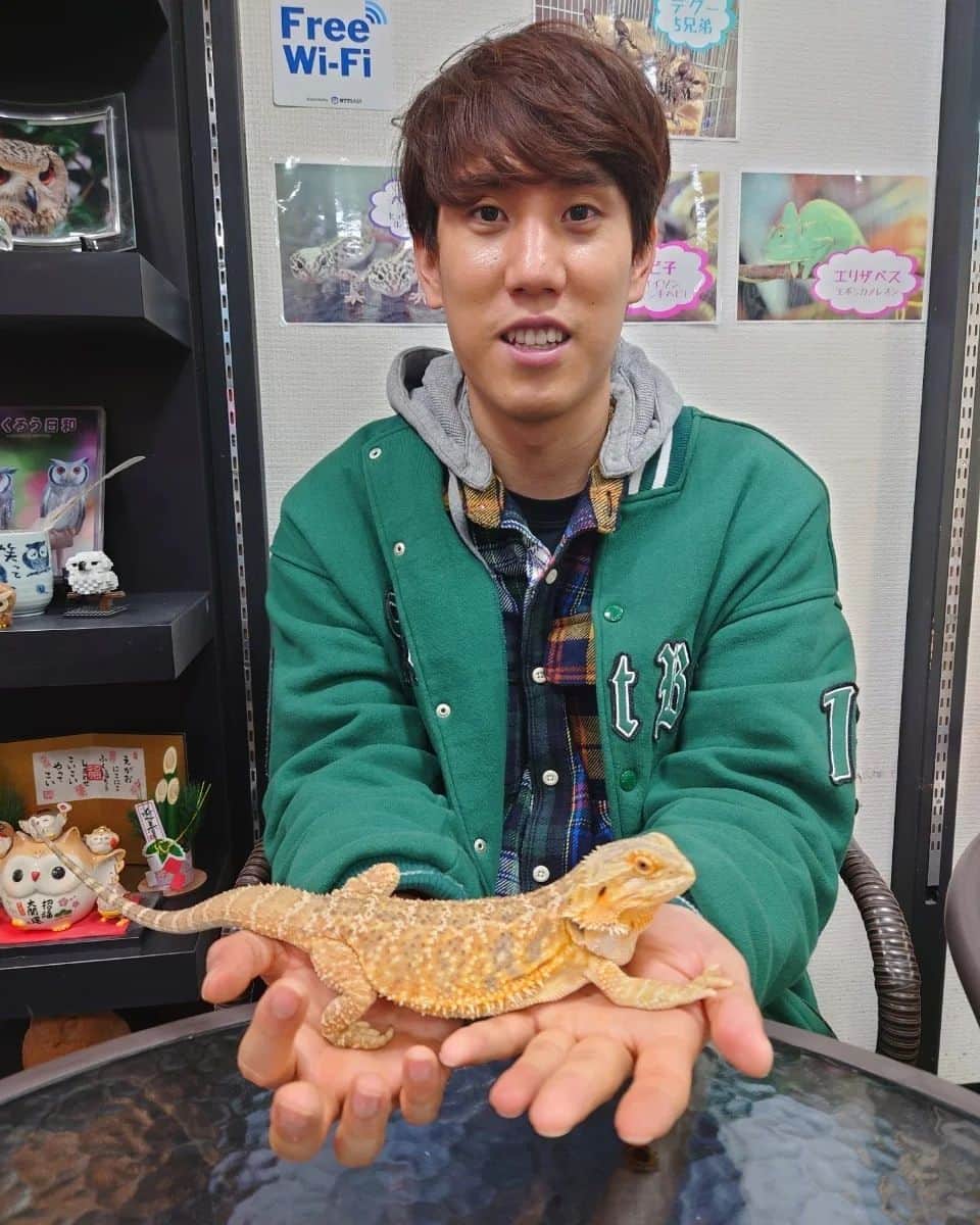 須貝駿貴さんのインスタグラム写真 - (須貝駿貴Instagram)「ふくろうカフェに行ったはずなのになぜか爬虫類諸氏とのふれあいが多かった ...