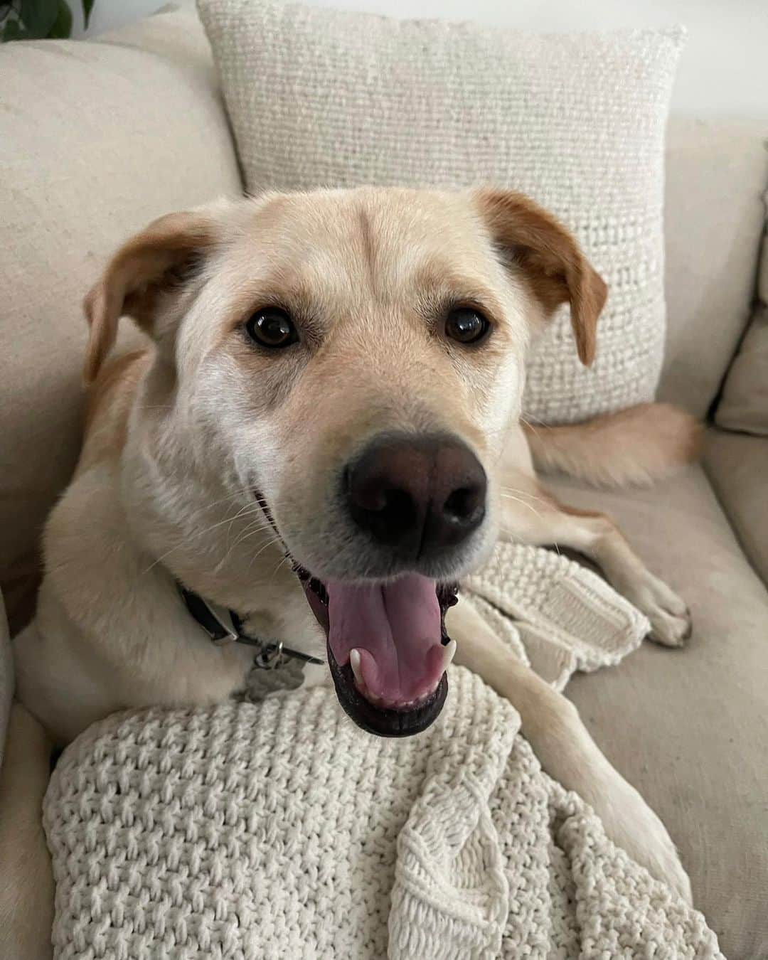 Gabrielle Grace Epsteinさんのインスタグラム写真 - (Gabrielle Grace EpsteinInstagram ...