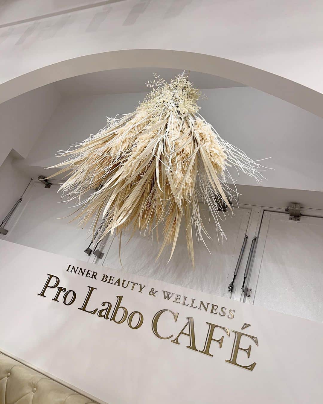 鈴木ふみ奈さんのインスタグラム写真 - (鈴木ふみ奈Instagram)「4/1にオープンする、プロラボカフェ @prolabo_cafe のプレオープンに行ってきました🫖🤍 白砂糖、人工甘味 ...