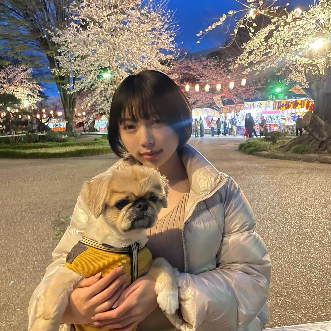 安位薫さんのインスタグラム写真 安位薫instagram 「今年はじめて🌸」3月27日 18時32分 Kaoru Yasuiii