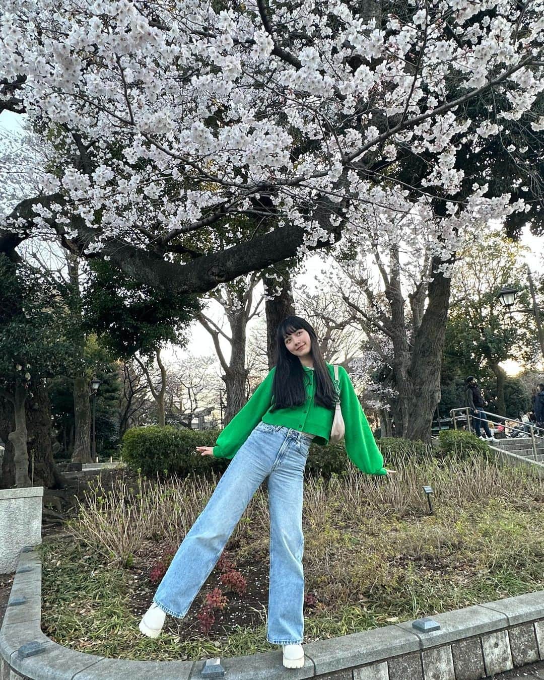 松本恵莉紗さんのインスタグラム写真 - (松本恵莉紗Instagram)「CherryBlossom🌸」3月27日 21時17分 - elisa_matsumoto