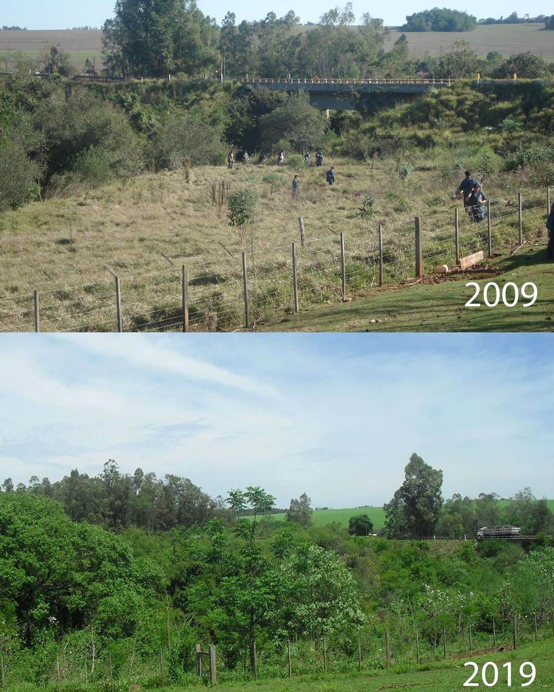 ジゼル・ブンチェンさんのインスタグラム写真 - (ジゼル・ブンチェンInstagram)「From planting trees, regenerating springs and ...