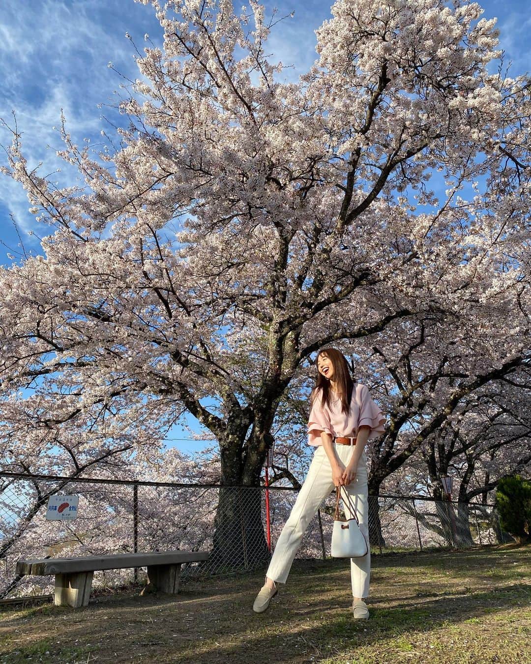 加藤桃子さんのインスタグラム写真 - (加藤桃子Instagram)「Hello April🌸 桜祭り楽しかった🫶 #桜 #桜祭り #お花見 ...