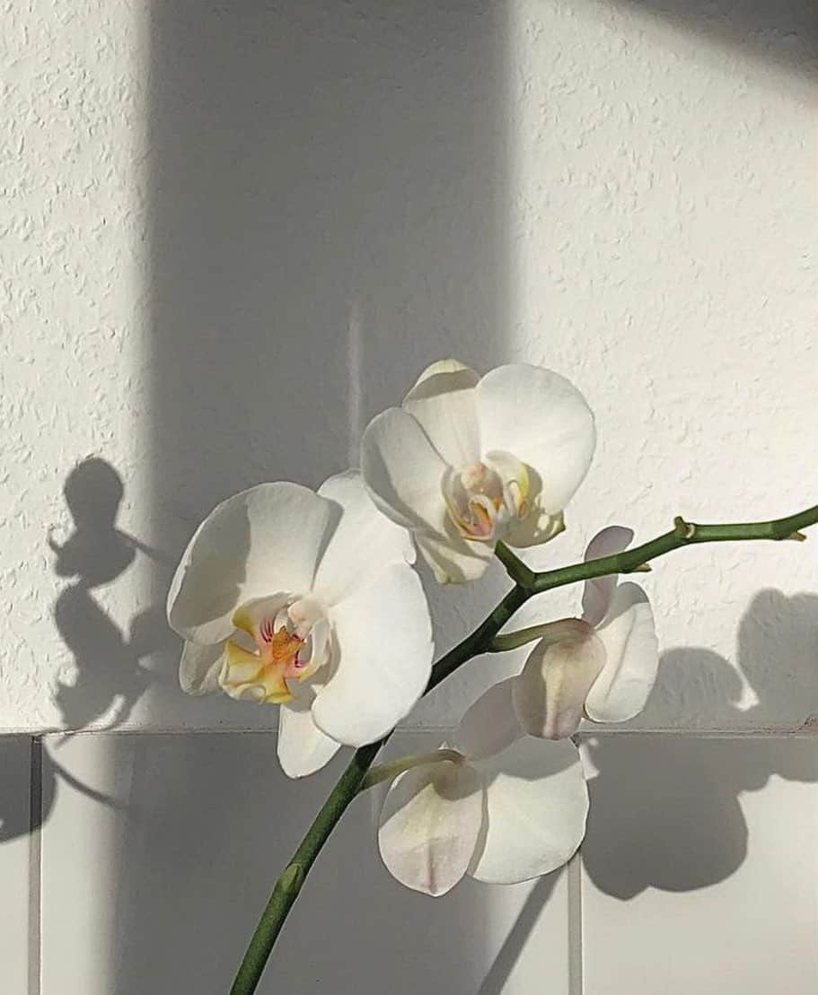 麻生果恩さんのインスタグラム写真 - (麻生果恩Instagram)4月2日 14時44分 - aso.kaon