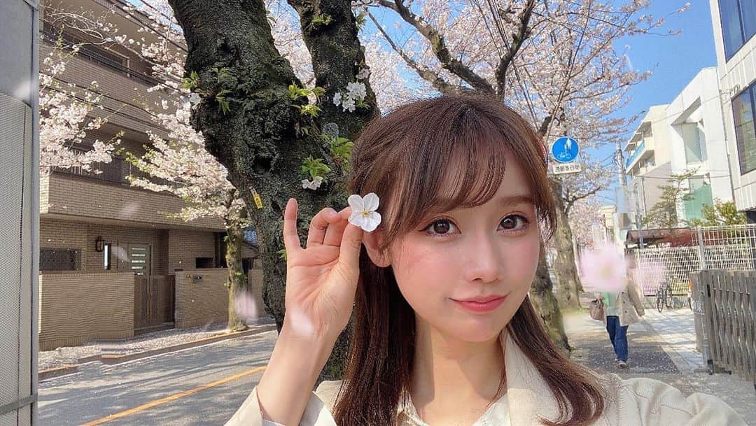 相原美咲さんのインスタグラム写真 - (相原美咲Instagram)「桜見れて良かった🌸 今日もお疲れ様☺️」4月2日 20時33分 ...