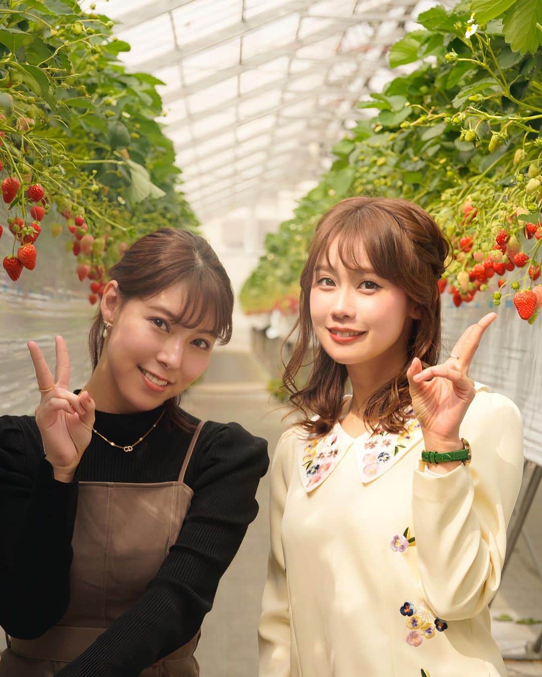 相原美咲さんのインスタグラム写真 - (相原美咲Instagram)「ケリーちゃんとお友達家族といちご狩りにいったよ〜☺️🍓 苺が本当に甘くて ...