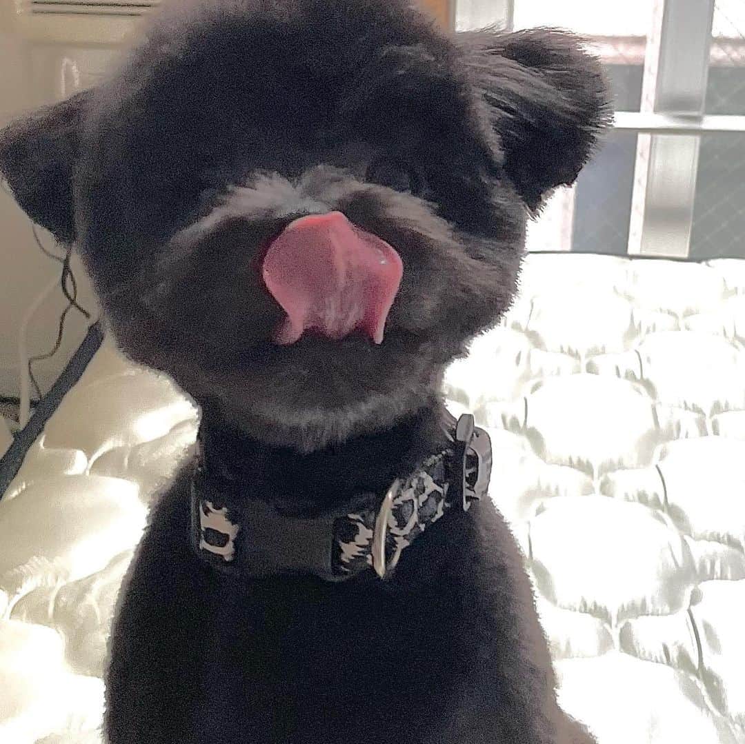 櫻子さんのインスタグラム写真 - (櫻子Instagram)「👶🏻🍼」4月7日 21時44分 - rako_bear_