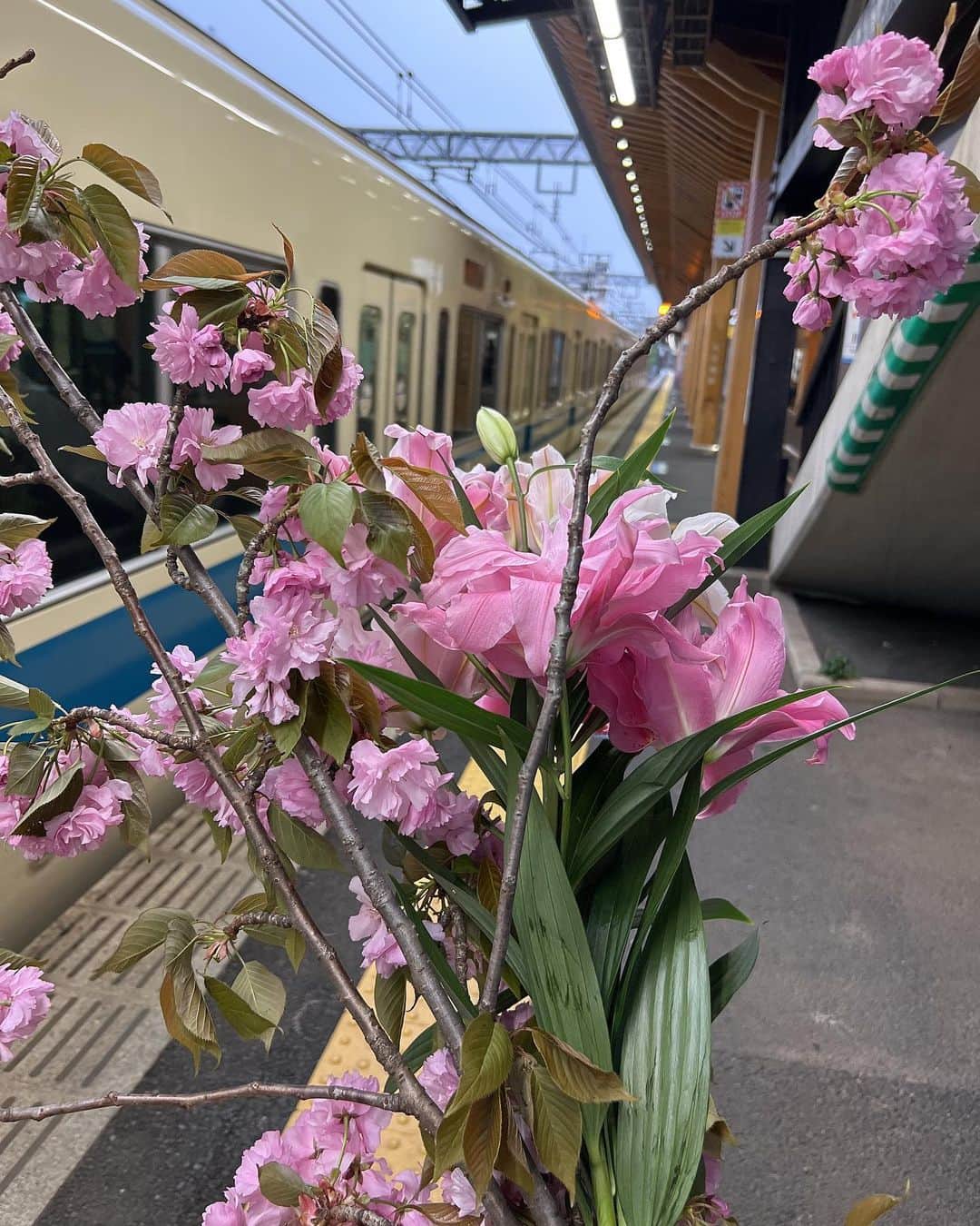 ナスチャさんのインスタグラム写真 - (ナスチャInstagram)「flower world 🌸」4月8日 18時11分 - kiker_chan