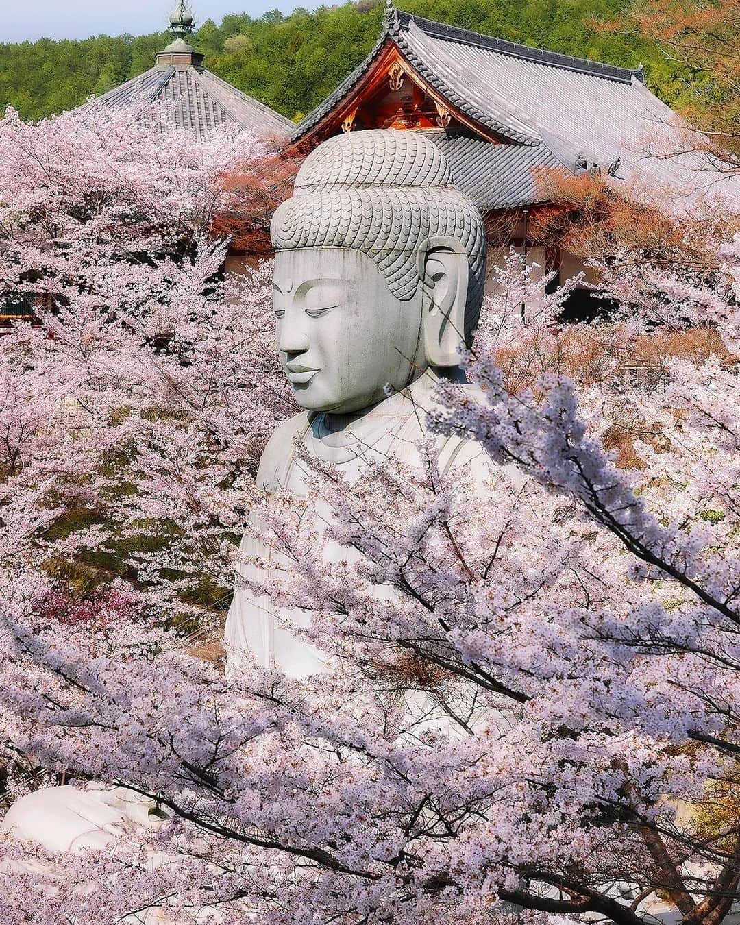 Berlin Tokyoさんのインスタグラム - (Berlin Tokyo@tokio_kid)