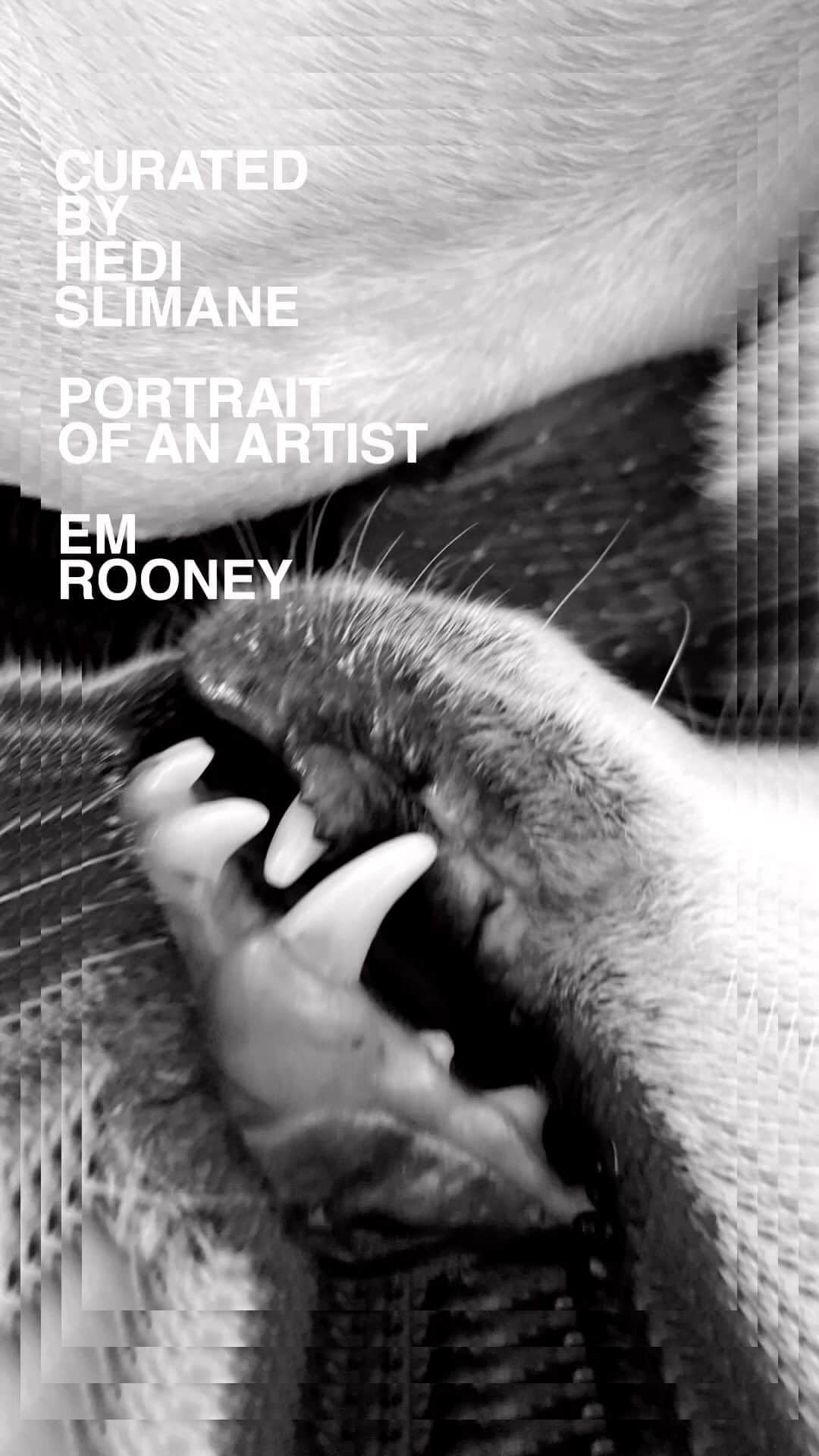 Celineさんのインスタグラム動画 - (CelineInstagram)「PORTRAIT OF AN ARTIST : EM ...