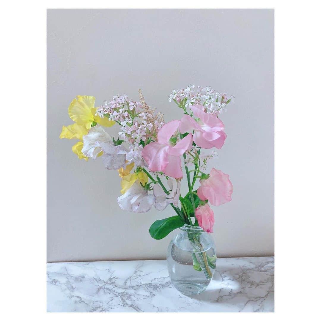 RINAさんのインスタグラム - (RINA@rina__alia)