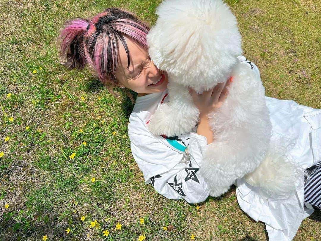 LiSAさんのインスタグラム写真 - (LiSAInstagram)「5/5 ころもの日🎏🐶」5月5日 18時04分 - xlisa_olivex