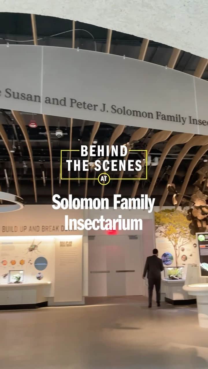 アメリカ自然史博物館さんのインスタグラム - (アメリカ自然史博物館@amnh)