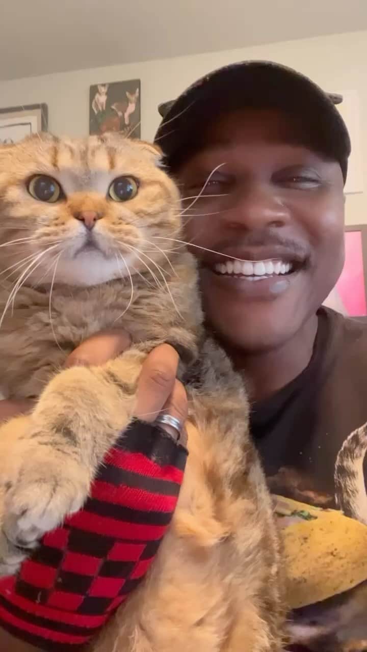 MSHO™(The Cat Rapper) さんのインスタグラム - (MSHO™(The Cat Rapper) @iammoshow)