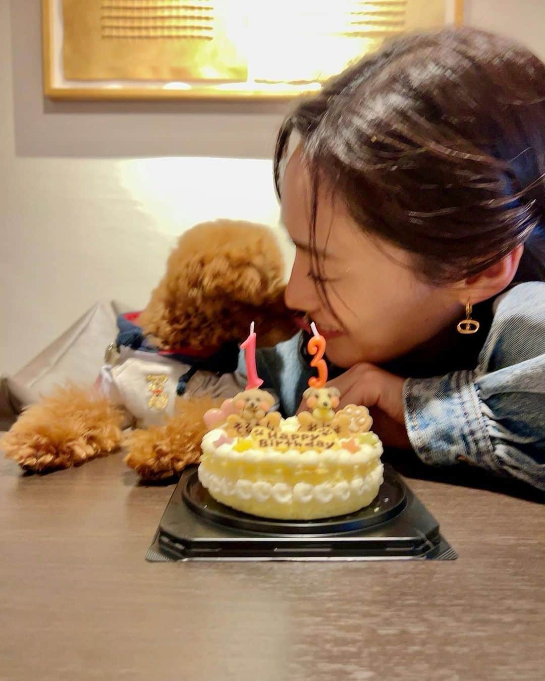 島村みやこさんのインスタグラム写真 - (島村みやこInstagram)「🎂 happy birthday Soltan🐶 4月16日で1歳に ...