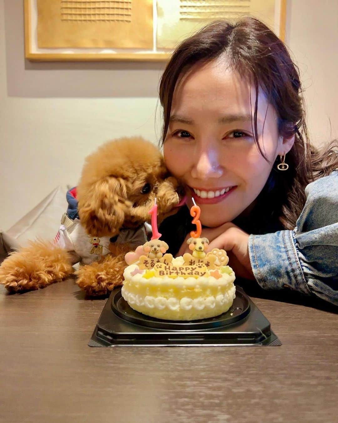 島村みやこさんのインスタグラム写真 - (島村みやこInstagram)「🎂 happy birthday Soltan🐶 4月16日で1歳に ...