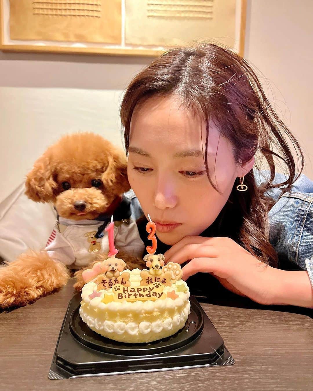 島村みやこさんのインスタグラム写真 - (島村みやこInstagram)「🎂 happy birthday Soltan🐶 4月16日で1歳に ...