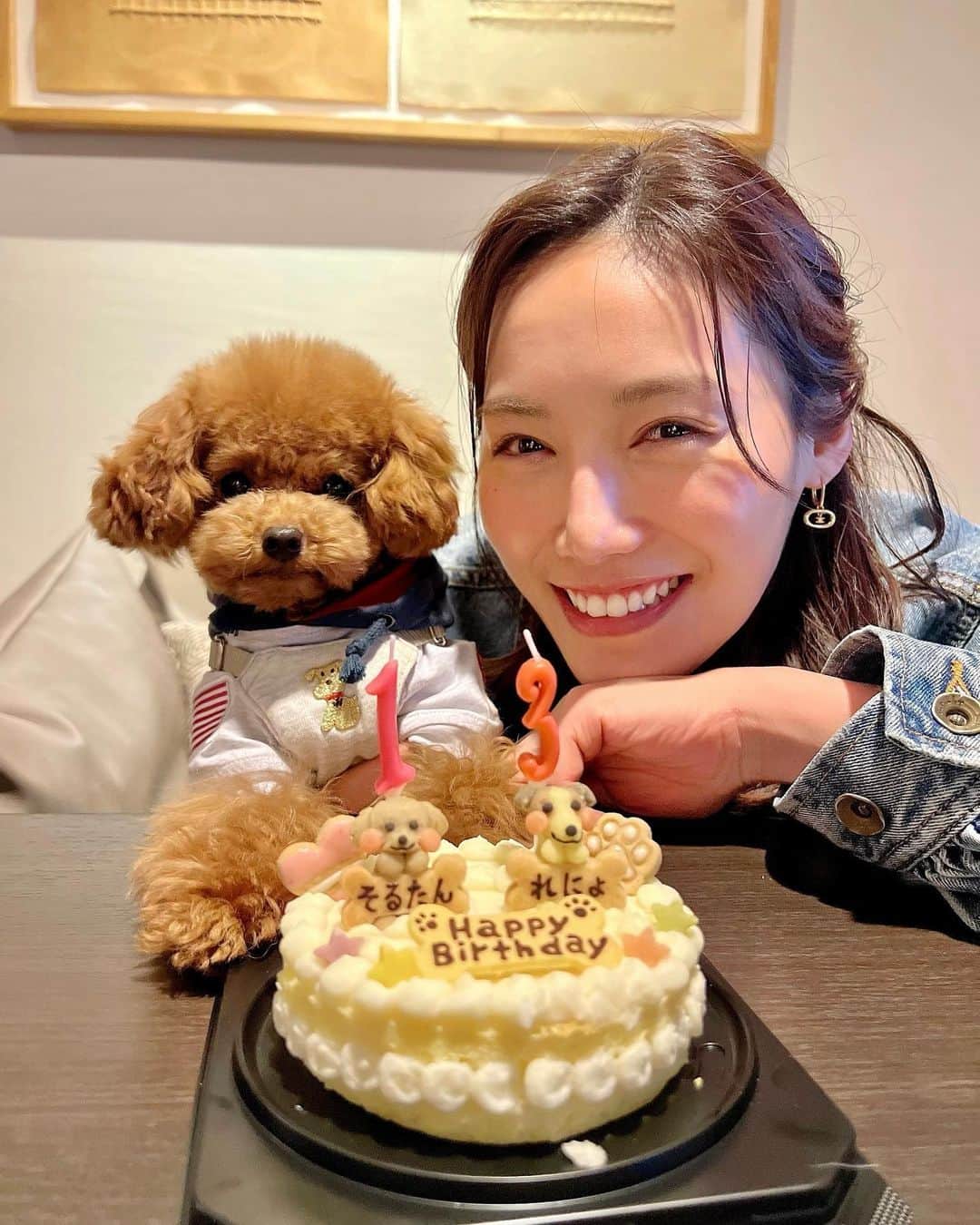 島村みやこさんのインスタグラム写真 - (島村みやこInstagram)「🎂 happy birthday Soltan🐶 4月16日で1歳に ...
