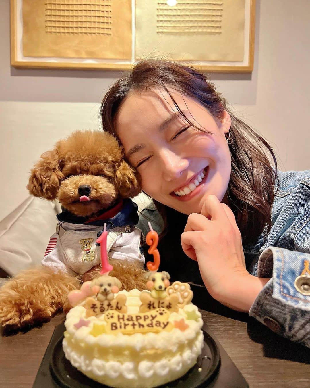 島村みやこさんのインスタグラム写真 - (島村みやこInstagram)「🎂 happy birthday Soltan🐶 4月16日で1歳に ...