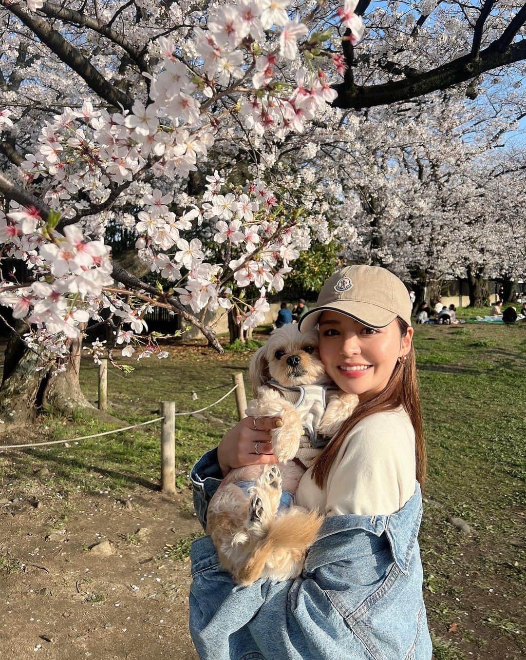 Nanamiさんのインスタグラム写真 - (NanamiInstagram)「かなり前のだけど🐶🌸 アネラの家での呼び名発表します。 ・アネ ・あっちゅん ・ちゅん ・ちゅんちゅん ・ちゅん ...