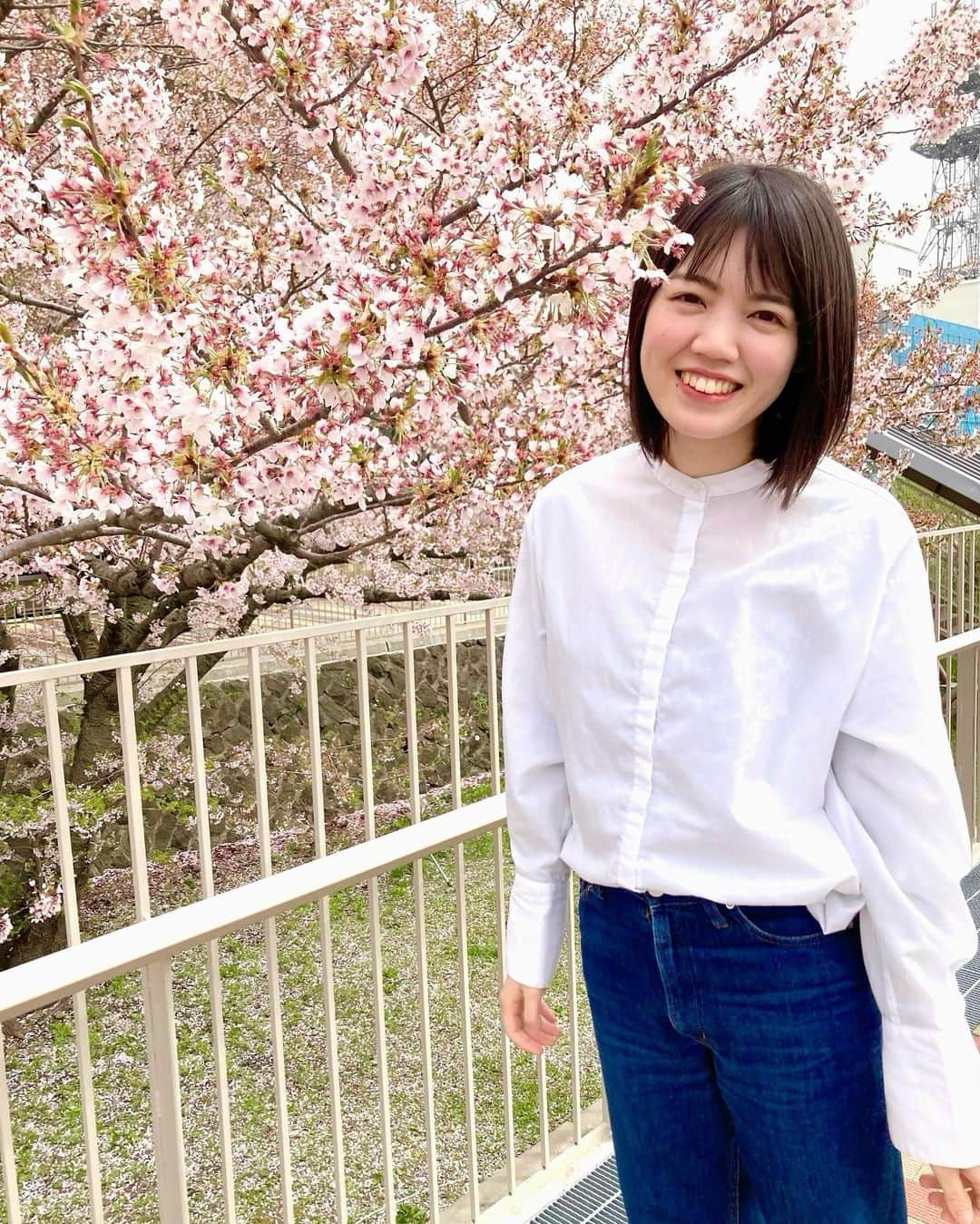 登レイナさんのインスタグラム - (登レイナ@nobori_reina)