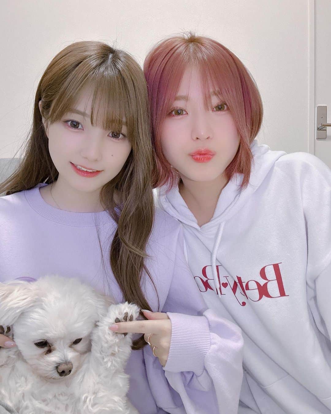 かすさんのインスタグラム写真 - (かすInstagram)「. こにたとハグ🐕 . #かすこな」4月19日 18時54分 - kasuu_kasu