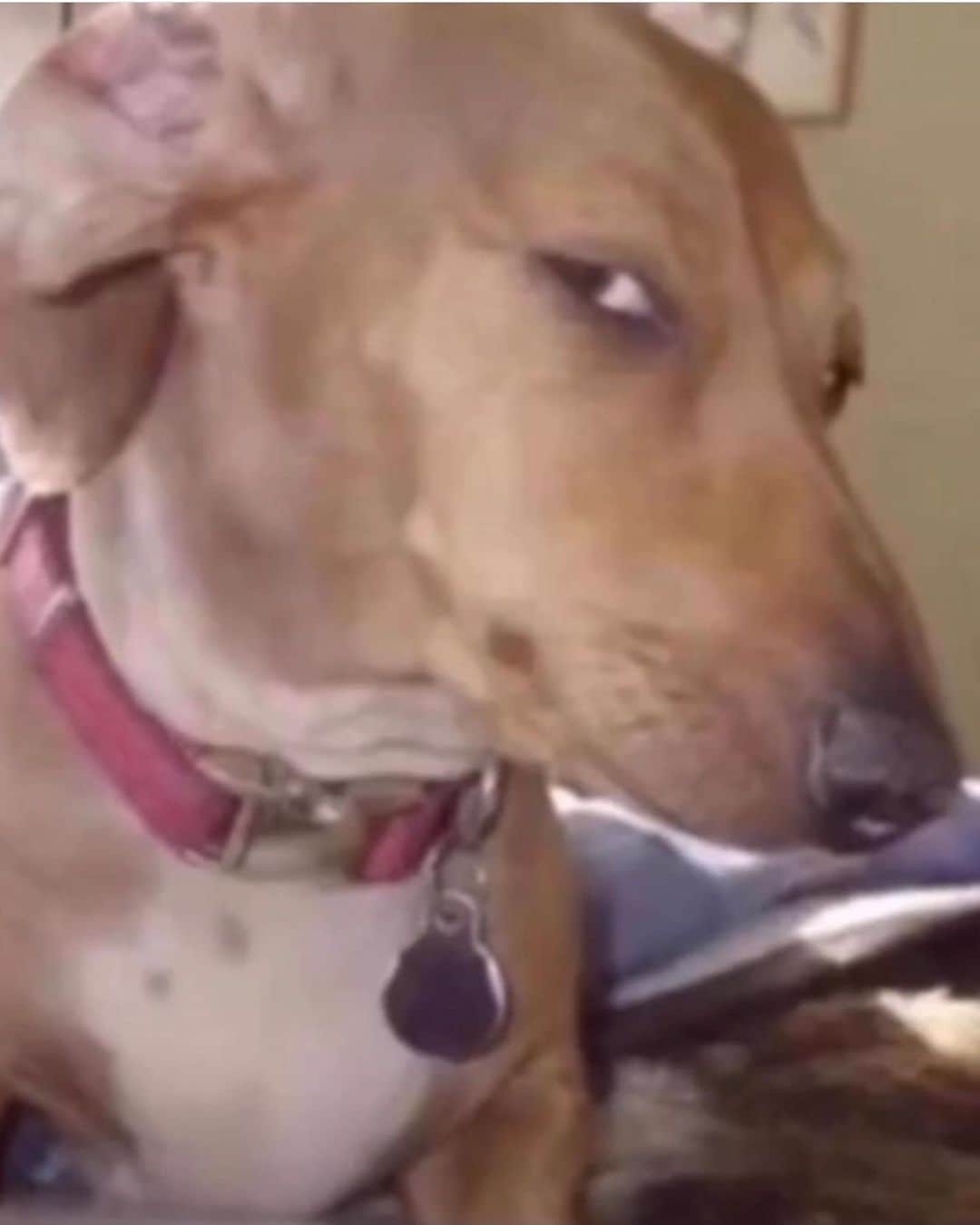 Tori Hughesさんのインスタグラム写真 - (Tori HughesInstagram)「Maintaining my peace 🖤 ...