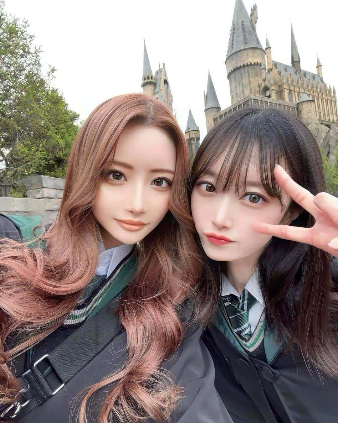 あんちゃんさんのインスタグラム写真 あんちゃんinstagram 「⁡ ⁡ ⁡ スリザリンではもしかして 君はまことの友を得る どんな手段を使っても 目的遂げる狡猾さ🐍 ⁡ ⁡ ⁡ ⁡