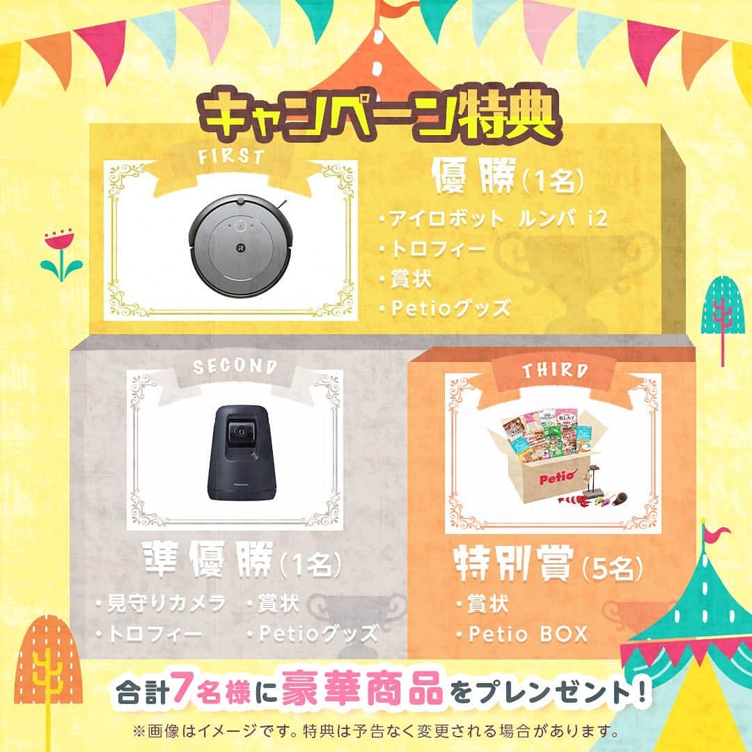 Petioさんのインスタグラム写真 - (PetioInstagram)「#けりぐるみ選手権 2023🦐 『けりぐるみ2023』開催っ！ ねこさんたちに大人気のおもちゃ『けりぐるみ』。 そんな ...