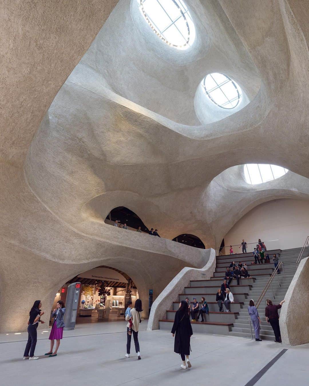 アメリカ自然史博物館さんのインスタグラム写真 - (アメリカ自然史博物館Instagram)「The Museum’s Richard ...