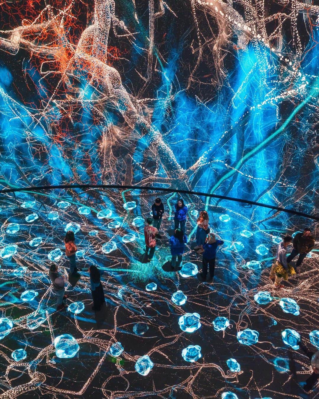 アメリカ自然史博物館さんのインスタグラム写真 - (アメリカ自然史博物館Instagram)「The Museum’s Richard ...