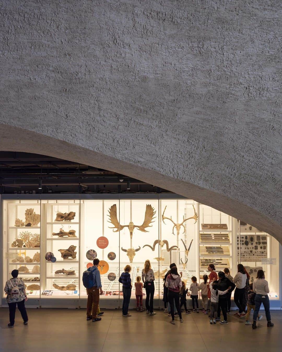 アメリカ自然史博物館さんのインスタグラム写真 - (アメリカ自然史博物館Instagram)「The Museum’s Richard ...