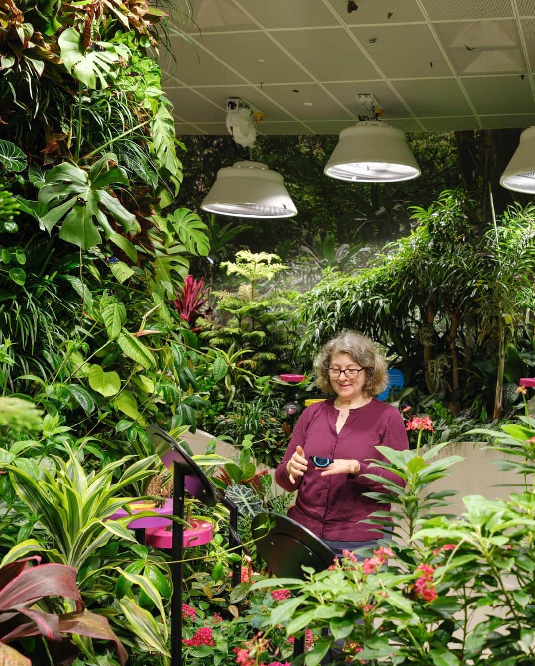 アメリカ自然史博物館さんのインスタグラム写真 - (アメリカ自然史博物館Instagram)「The Museum’s Richard ...