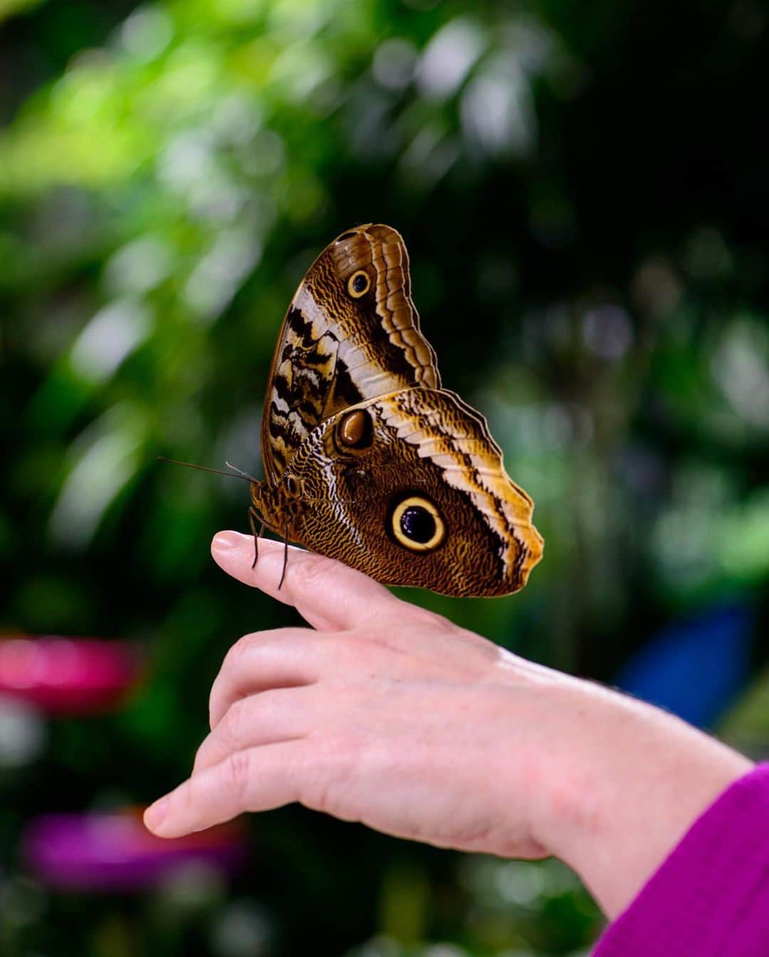 アメリカ自然史博物館さんのインスタグラム写真 - (アメリカ自然史博物館Instagram)「The Museum’s Richard ...