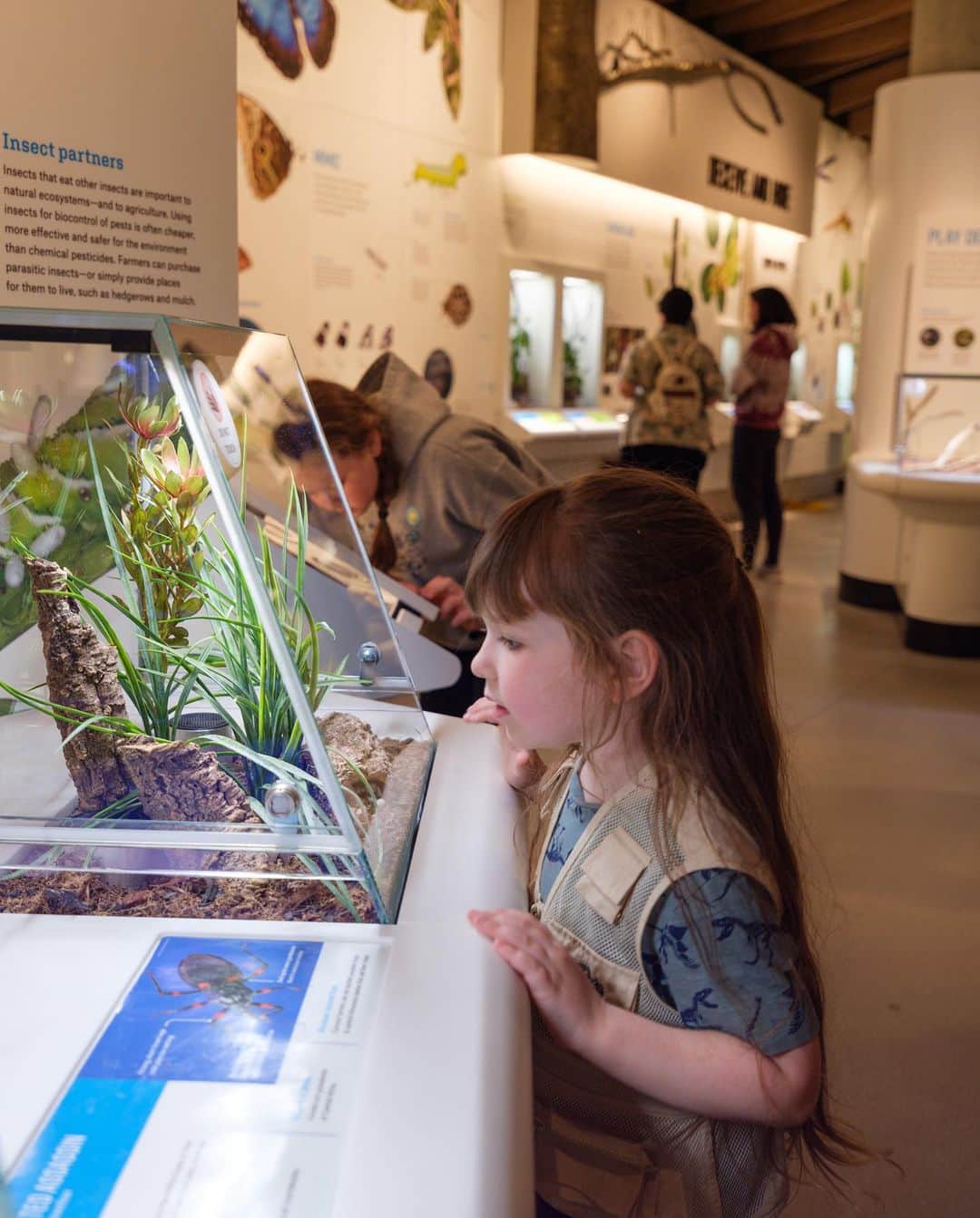 アメリカ自然史博物館さんのインスタグラム写真 - (アメリカ自然史博物館Instagram)「The Museum’s Richard ...