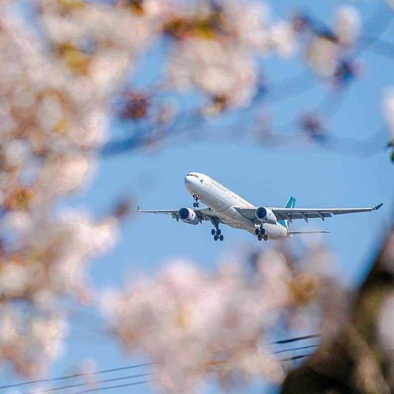 キャセイパシフィック航空さんのインスタグラム - (キャセイパシフィック航空@cathaypacific)