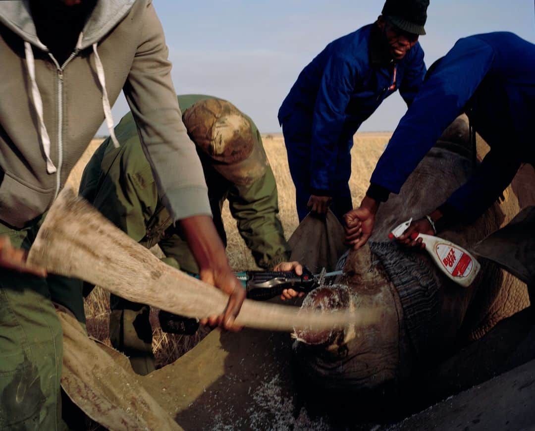 ナショナルジオグラフィックさんのインスタグラム写真 - (ナショナルジオグラフィックInstagram)「Photos by David Chancellor @chancellordavid ...